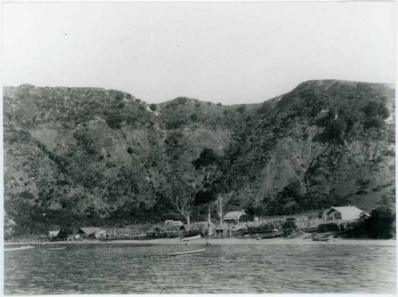 View, Wairaka, Whakatāne - Whakatāne Museum Collections & Research