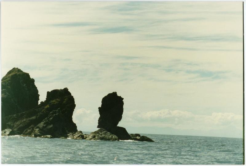 Scene, Rock Formations, Whakaari - Whakatāne Museum Collections & Research