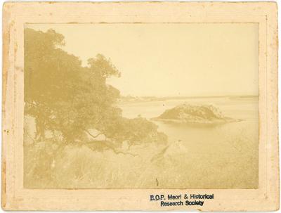 View, Whakatāne Estuary - Whakatāne Museum Collections & Research