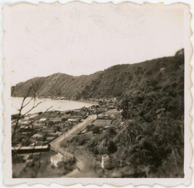 View, Wairaka - Whakatāne Museum Collections & Research