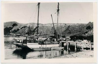 View, Loading the Horouta, Waihau Bay - Whakatāne Museum Collections ...