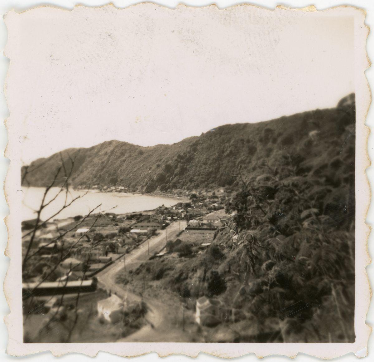 View, Wairaka - Whakatāne Museum Collections & Research