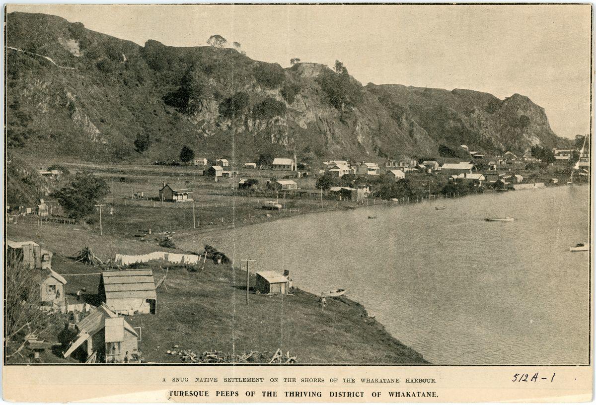 View, Wairaka, Whakatāne - Whakatāne Museum Collections & Research