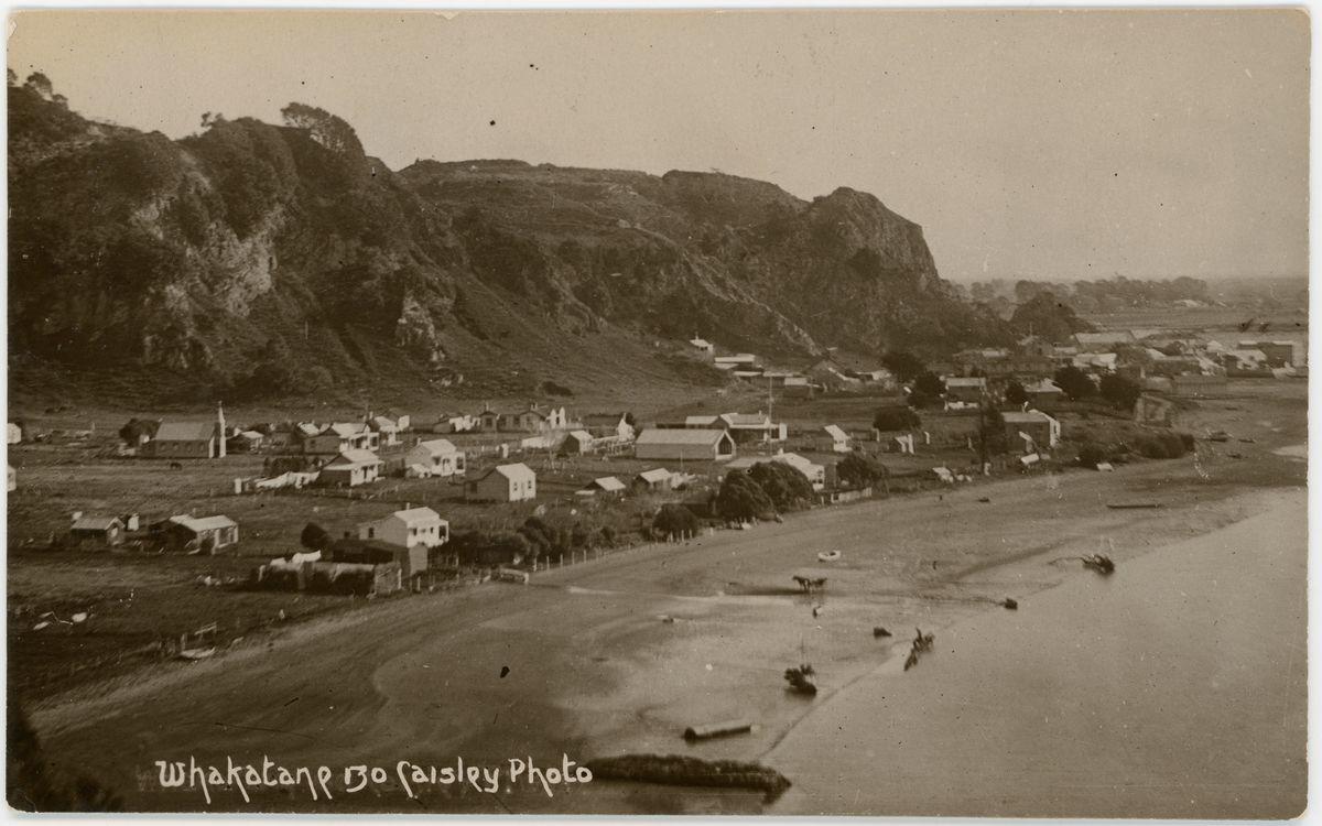 View, Wairaka, Whakatāne - Whakatāne Museum Collections & Research