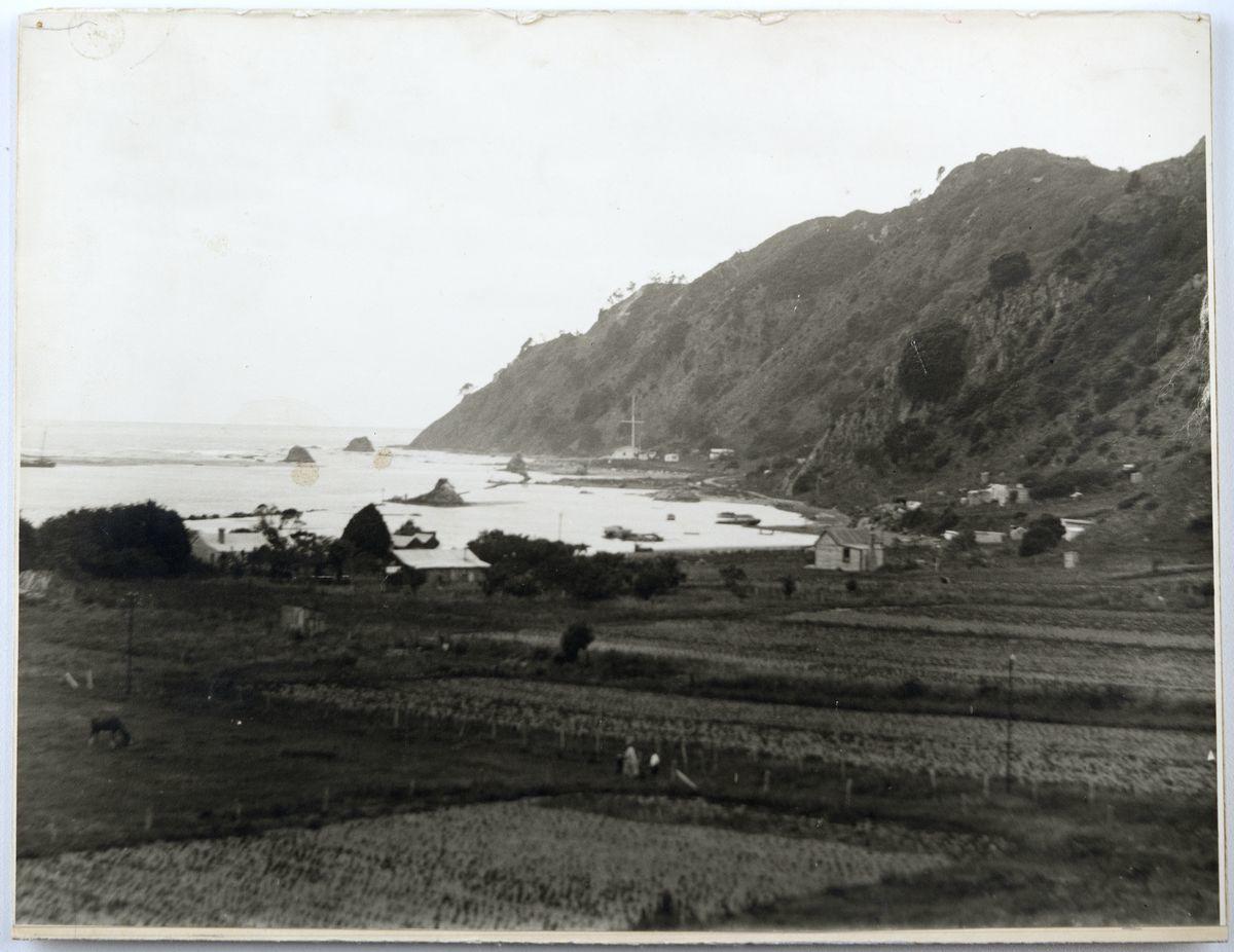 View, Wairaka - Whakatāne Museum Collections & Research