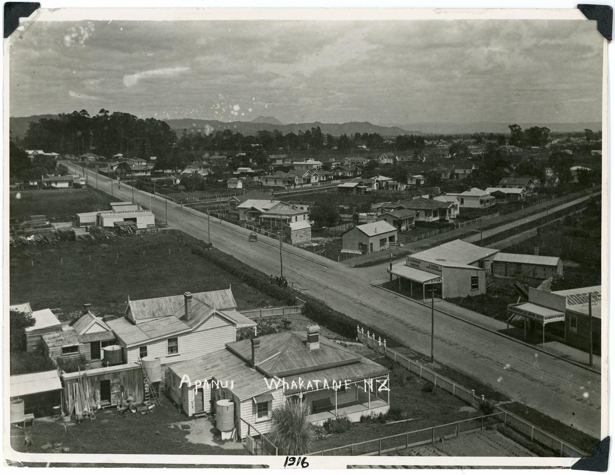 Landscape, Apanui - Whakatāne Museum Collections & Research