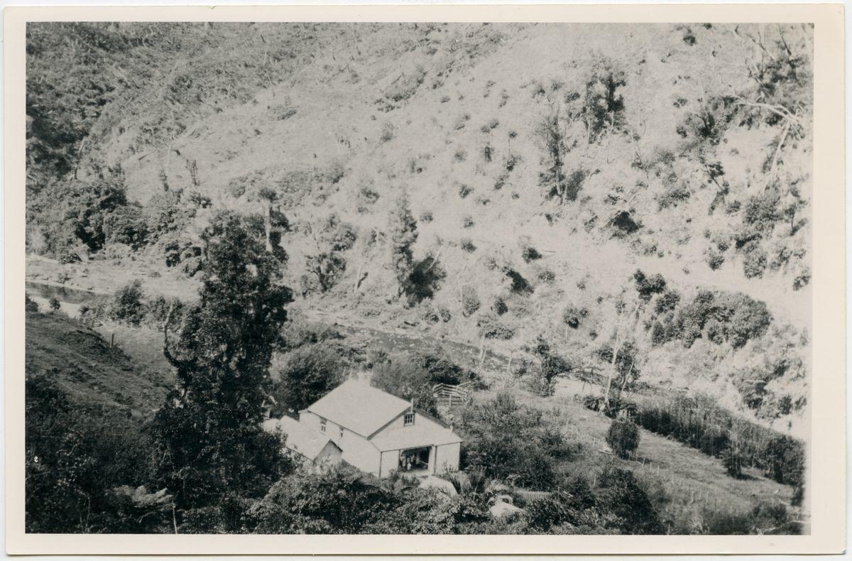 View, Foster's Farm, Pakihi - Whakatāne Museum Collections & Research