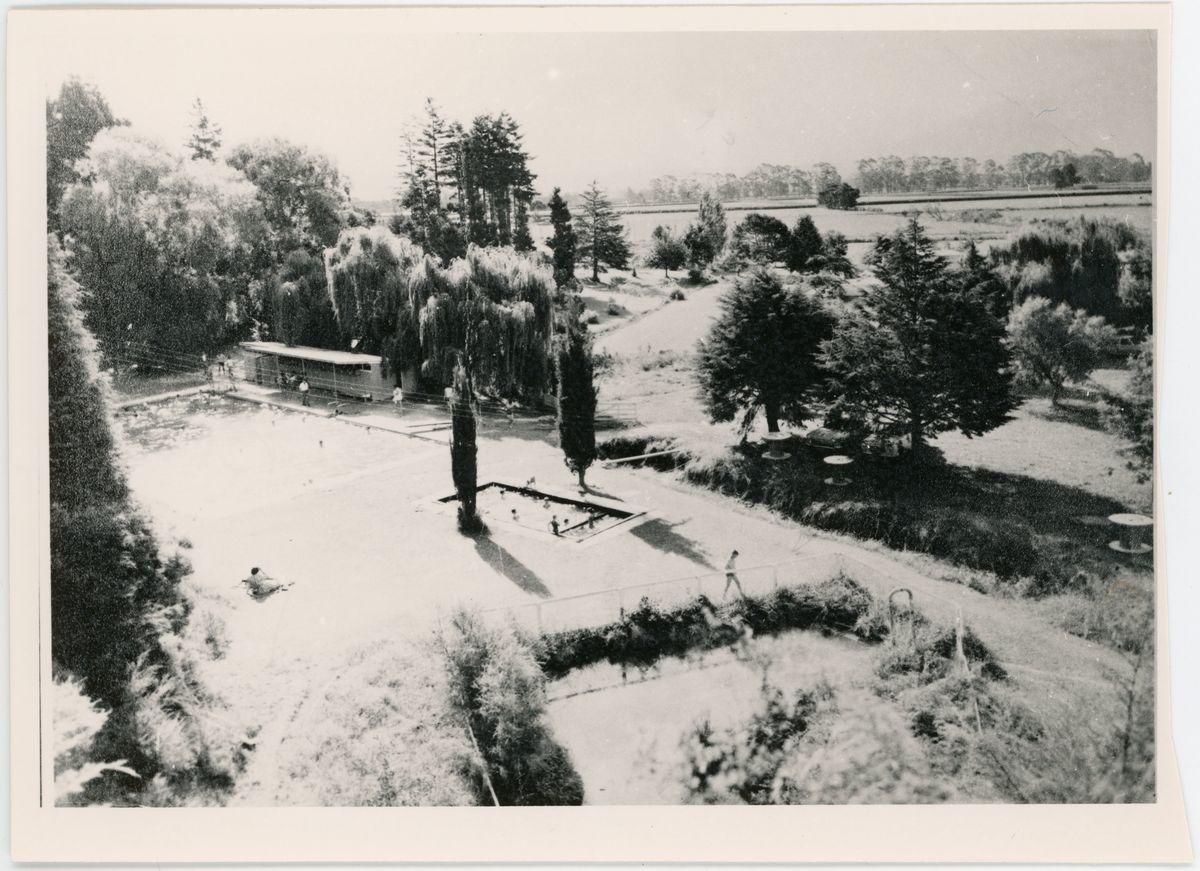 Elevated View, Hot Springs, Awakeri - Whakatāne Museum Collections ...