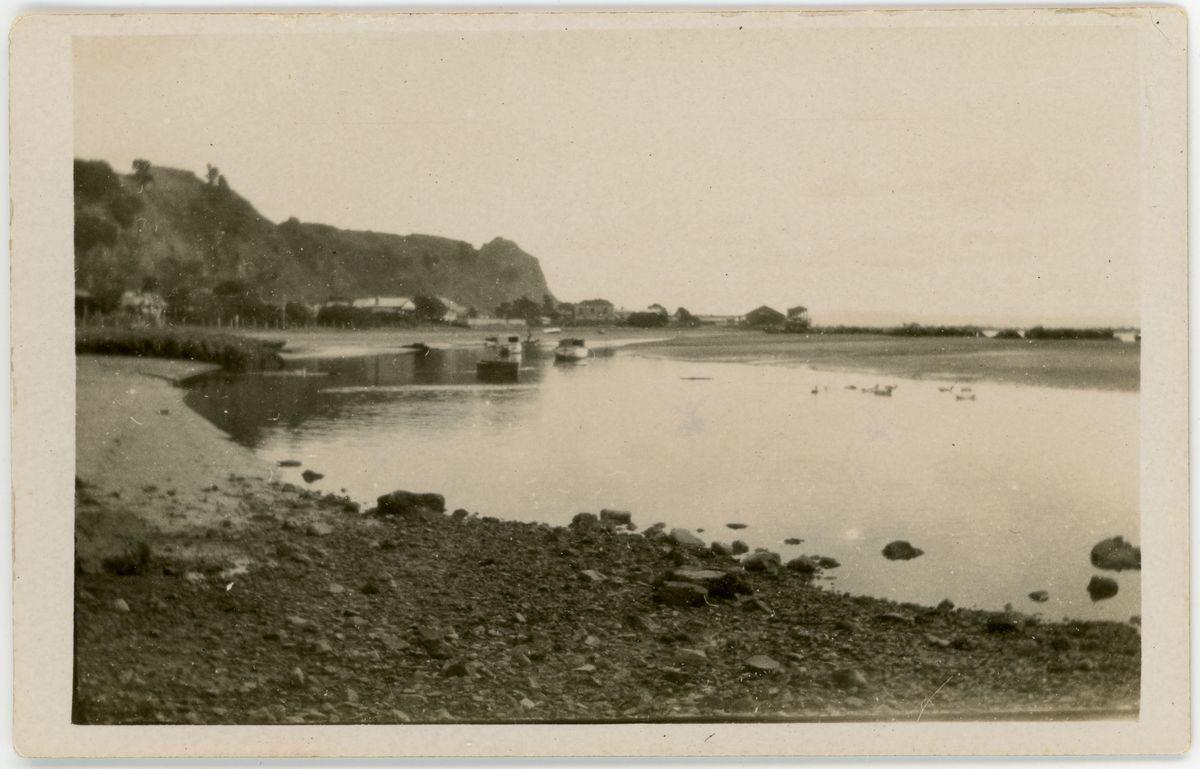 View, River Near Wairaka, Whakatāne - Whakatāne Museum Collections ...