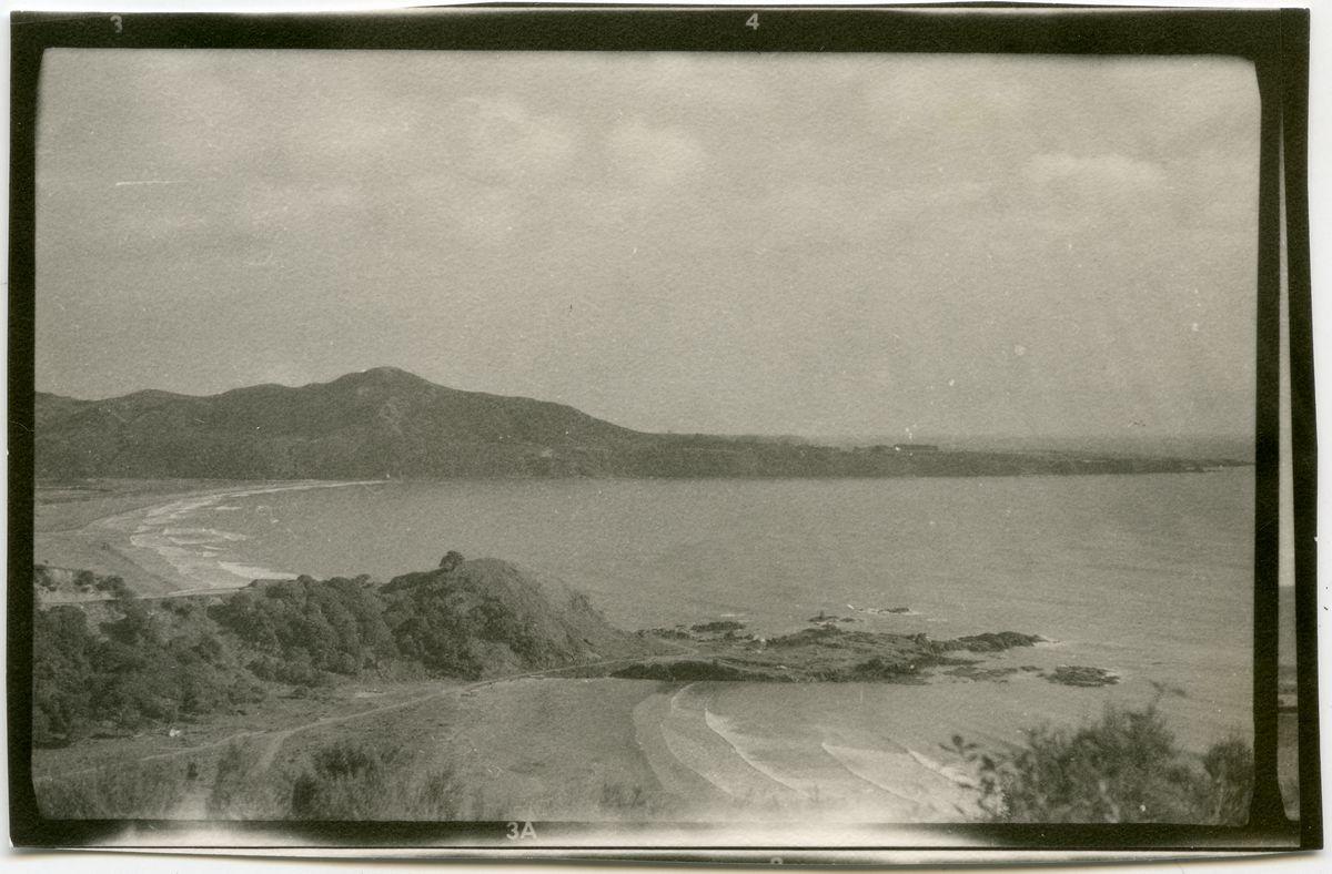 View, Hicks Bay, East Coast - Whakatāne Museum Collections & Research