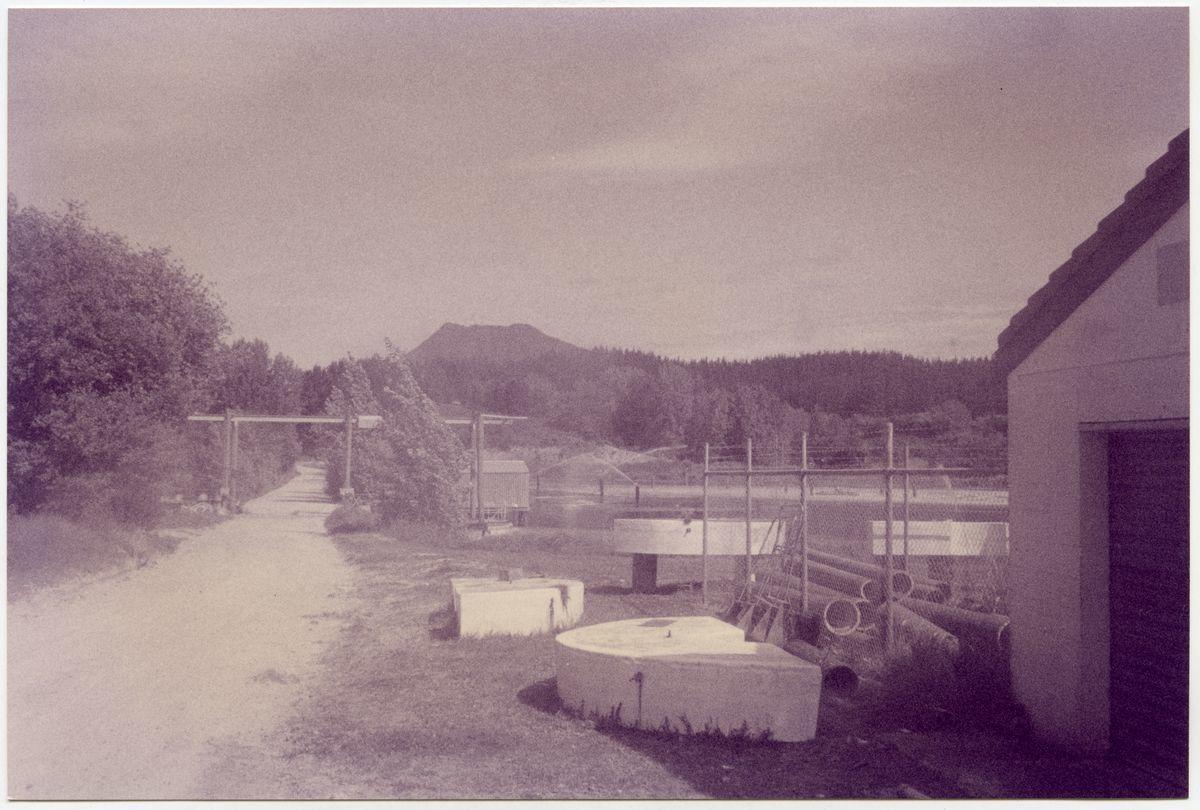 View, Tasman Mill Yard, Kawerau - Whakatāne Museum Collections & Research