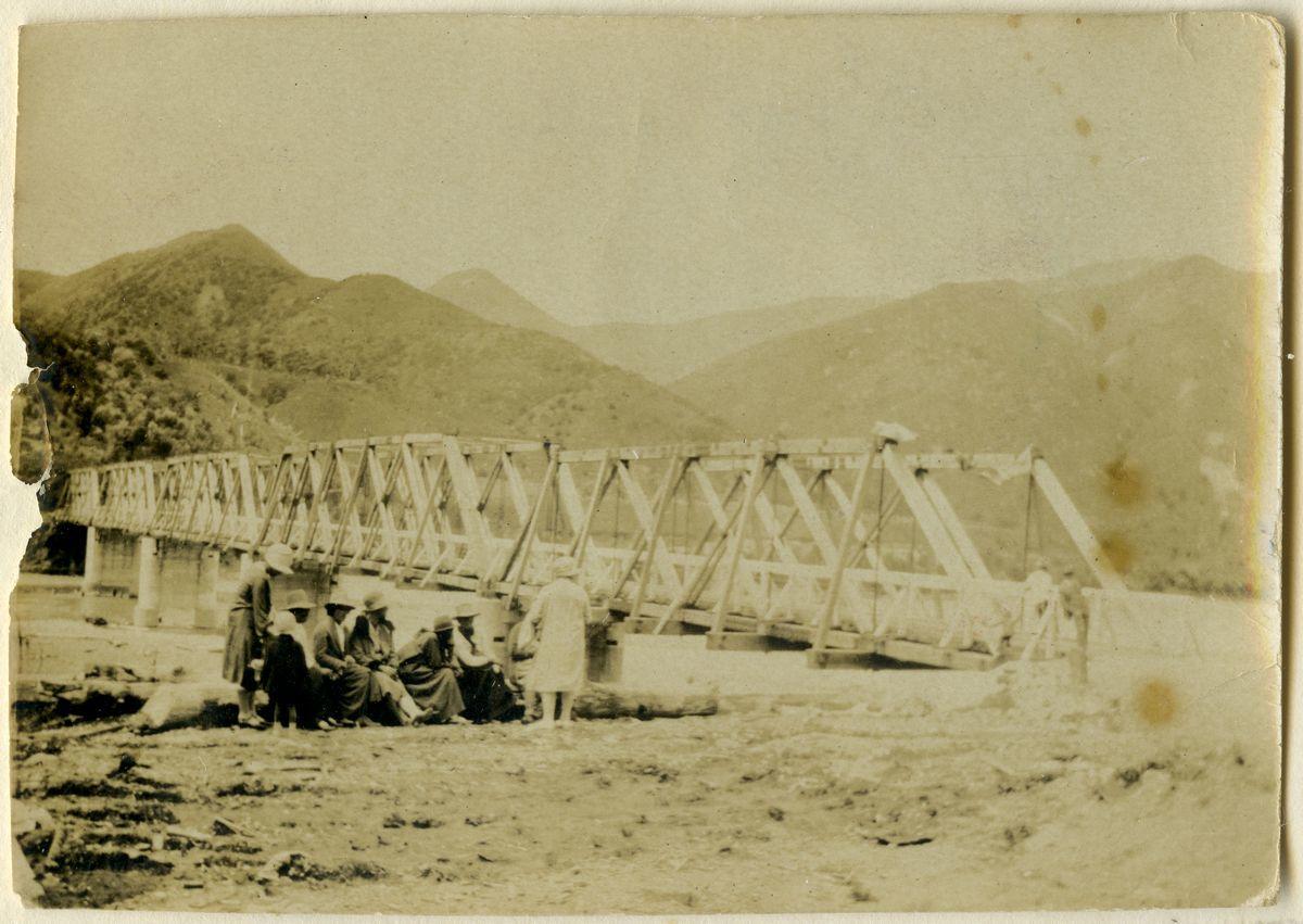 View, Mōtū Bridge, Ōmaio - Whakatāne Museum Collections & Research
