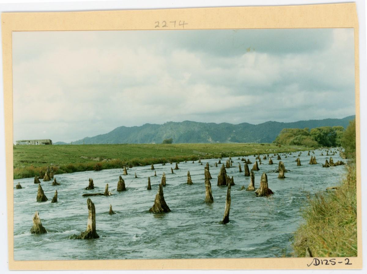 View, Rangitāiki River after 1987 Earthquake, Te Teko - Whakatāne ...